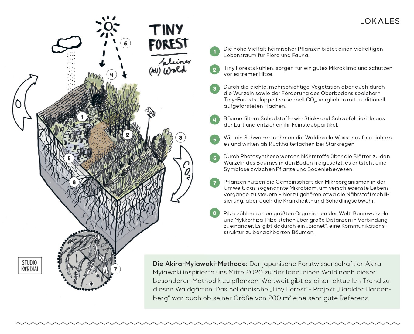 TINY FOREST LINZ – STUDIO KORDIAL